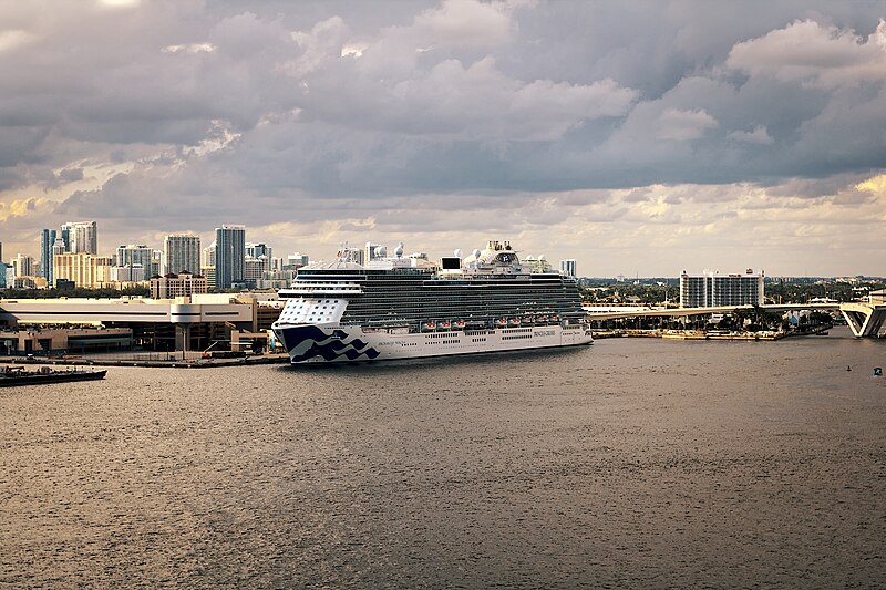 Where Is Enchanted Princess? Live Location & Tracker | Cruise Ship Tracker